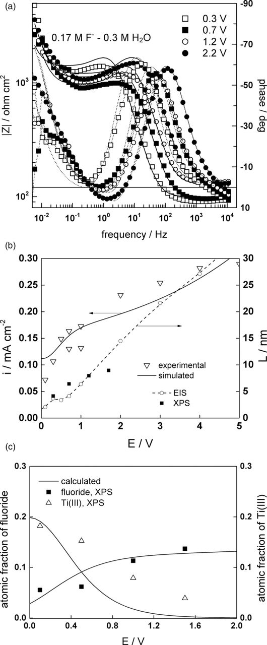 Multi-Scale Modeling of the Initial Stages of Anodic Oxidation of ...