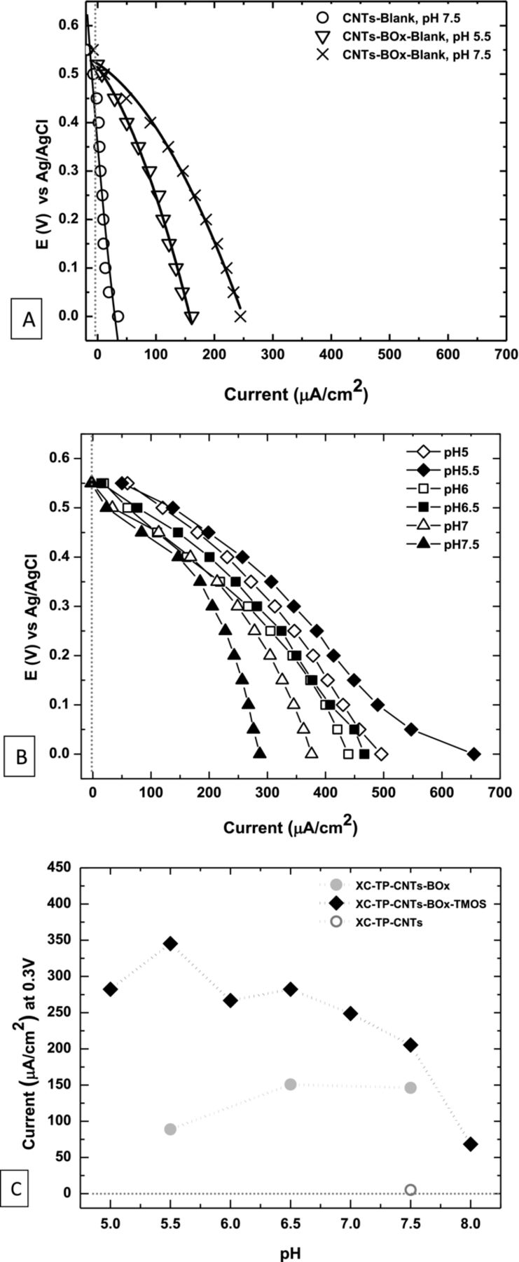 Gas-Diffusion Cathodes Integrating Carbon Nanotube Modified-Toray Paper ...