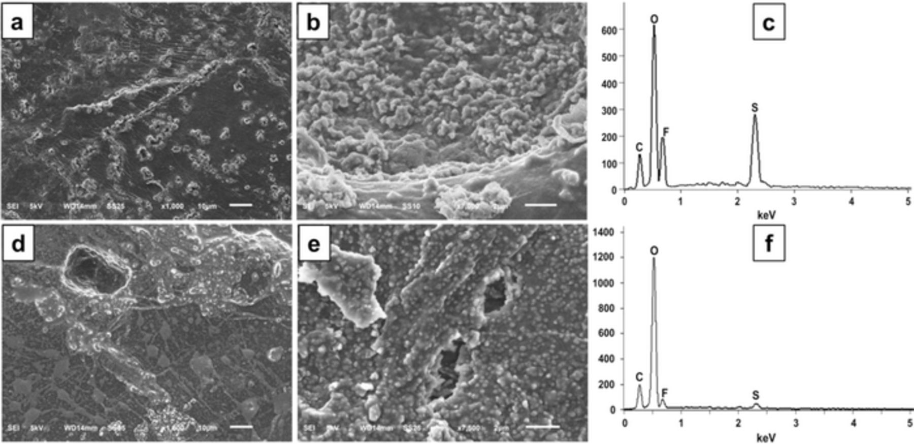 Fluorinated Electrolytes for Li-S Battery: Suppressing the Self ...