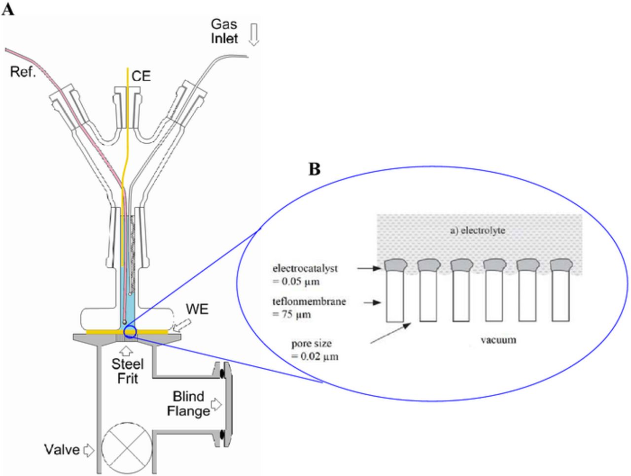 Quantitative Study for Oxygen Reduction and Evolution in Aprotic ...