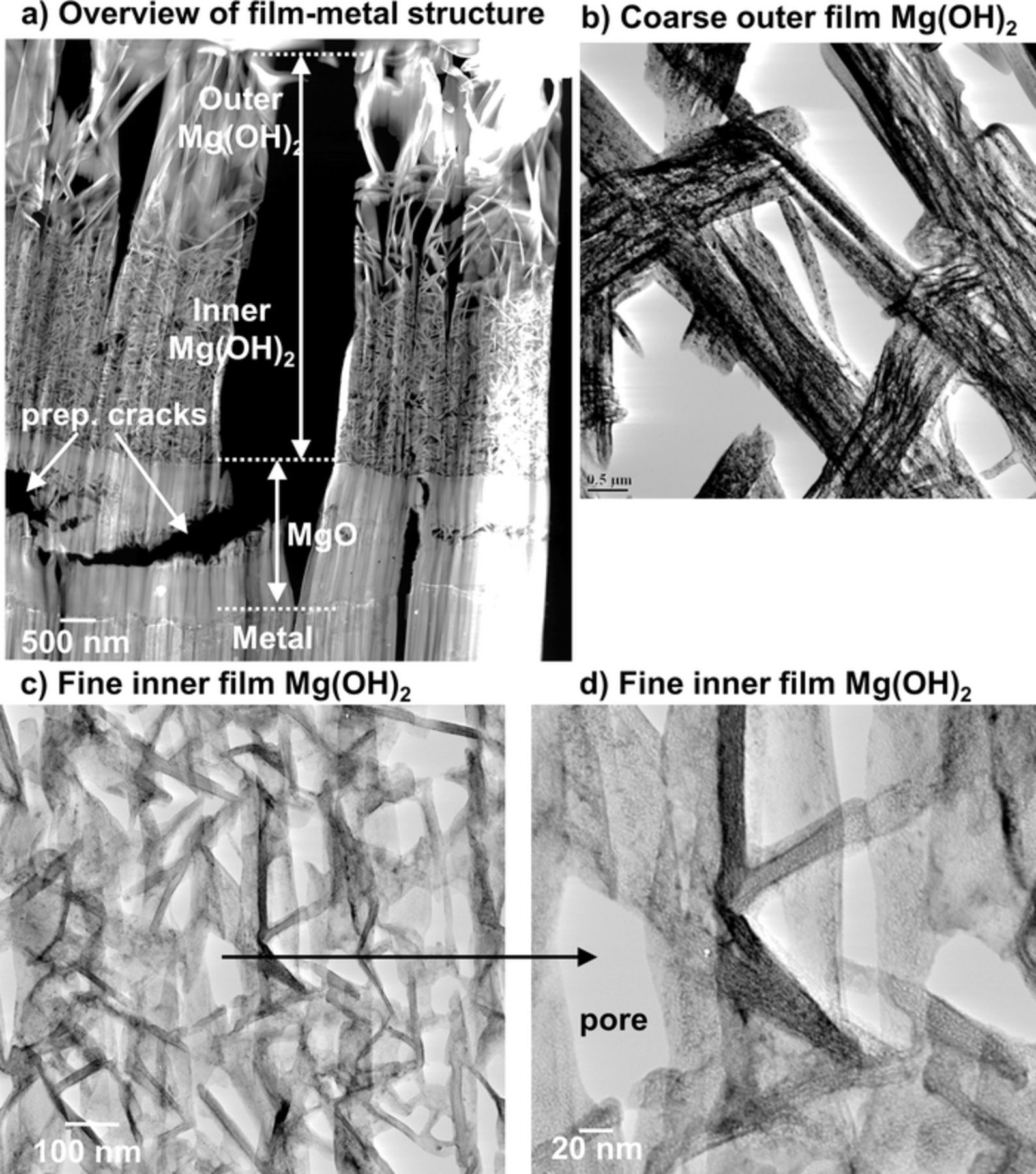 Film Breakdown and Nano-Porous Mg(OH)2 Formation from Corrosion of ...