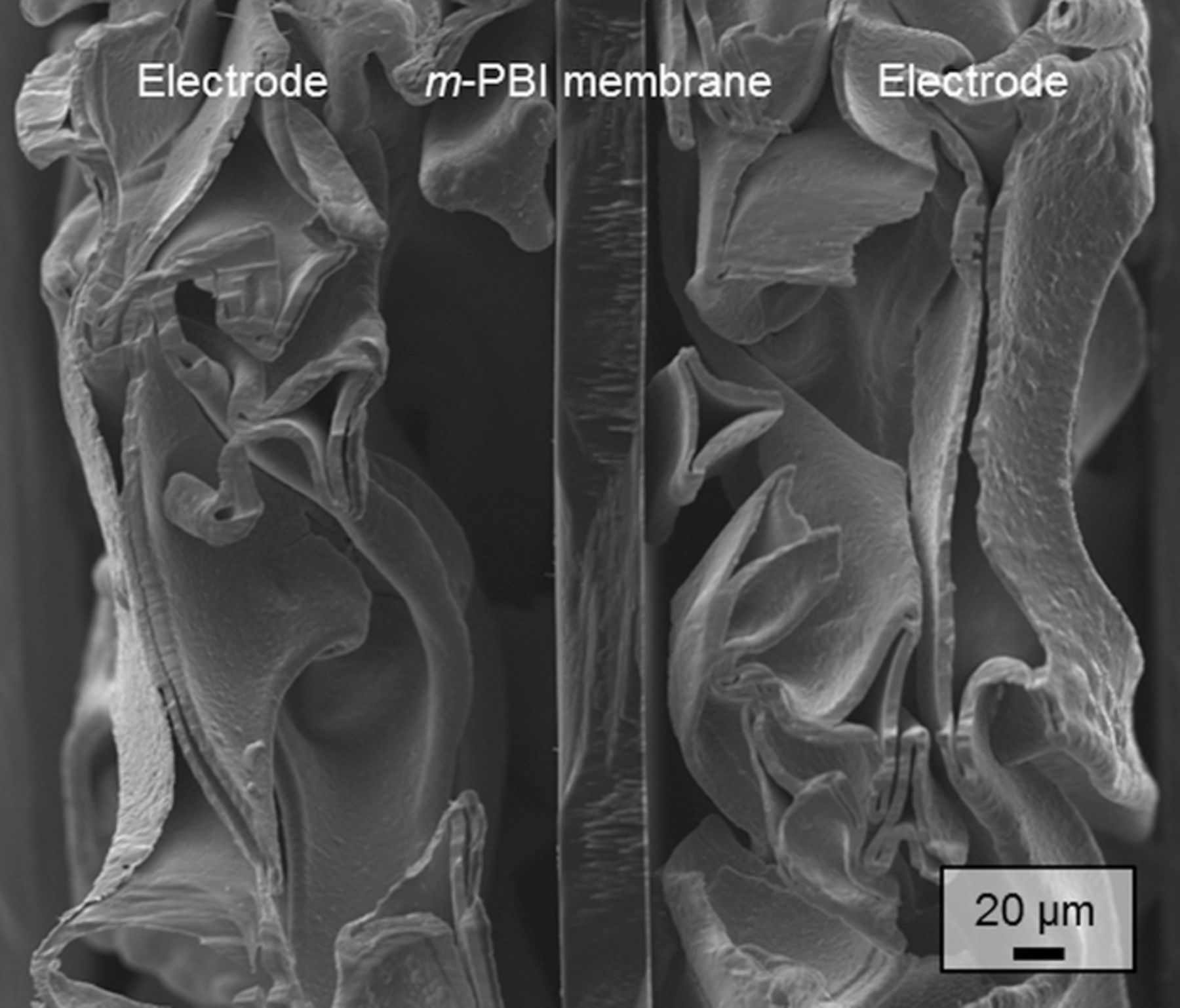 Zero-Gap Alkaline Water Electrolysis Using Ion-Solvating Polymer ...