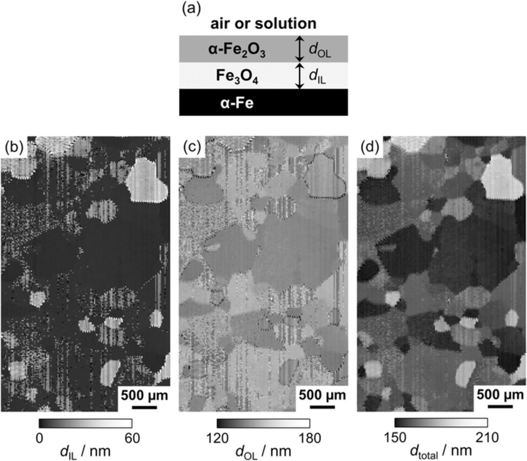 Heterogeneity of a Thermal Oxide Film Formed on Polycrystalline Iron ...