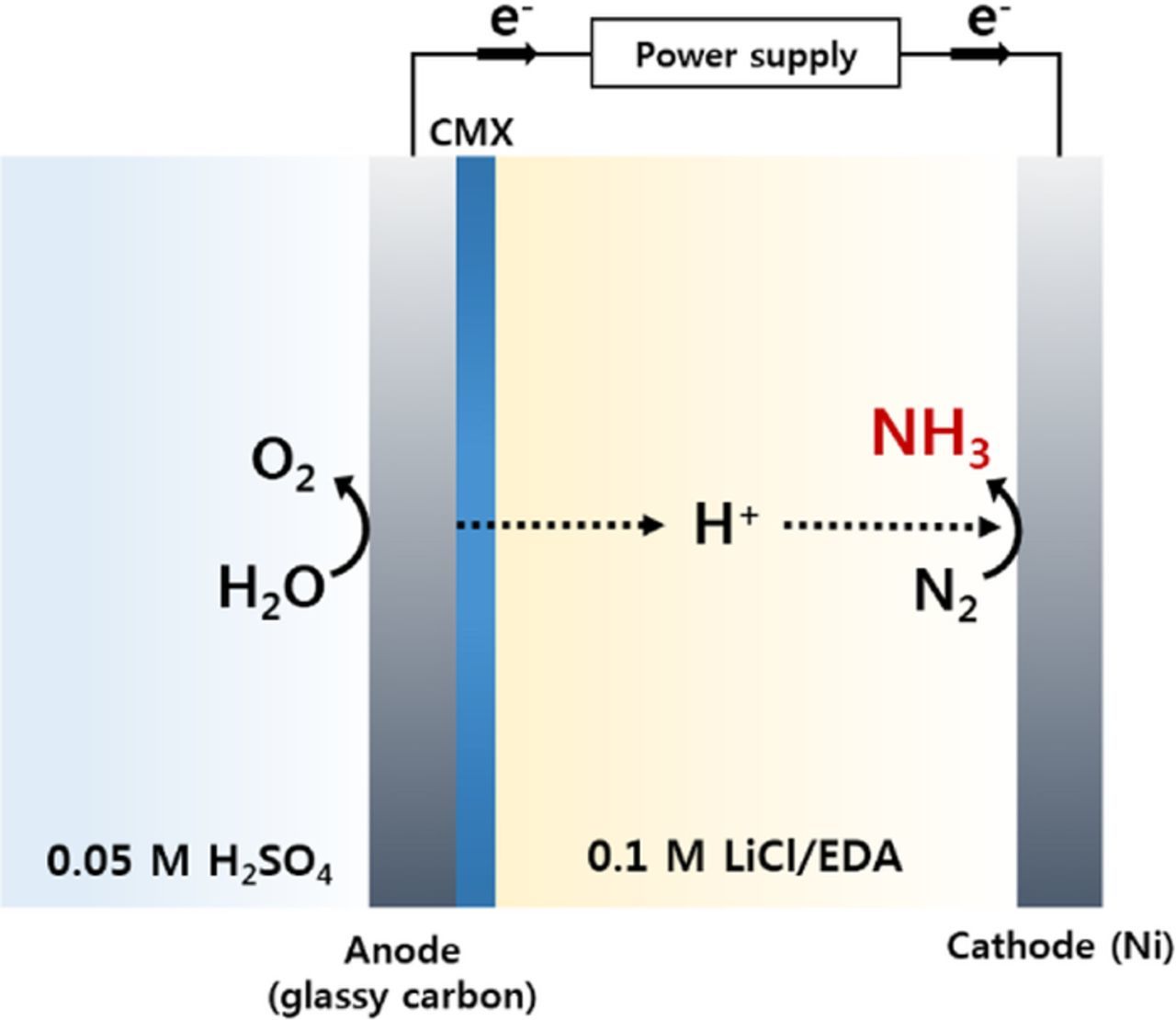 Electrochemical Synthesis of Ammonia from Water and Nitrogen in ...