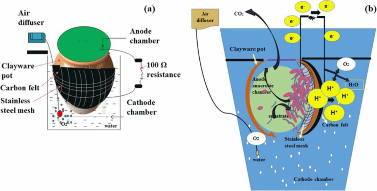 Bioelectrogenesis Detection of Inoculums Using Electrochromic Tungsten ...