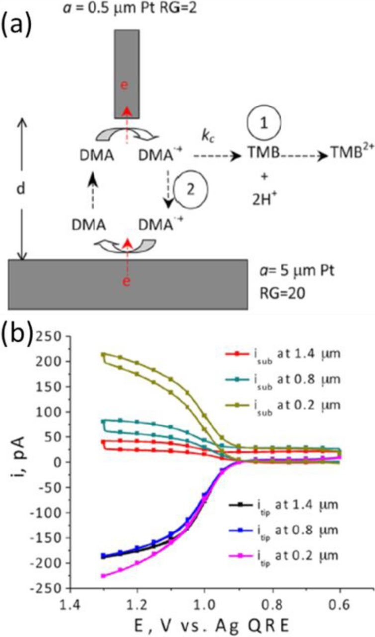 Review—Advances in Scanning Electrochemical Microscopy (SECM) - IOPscience
