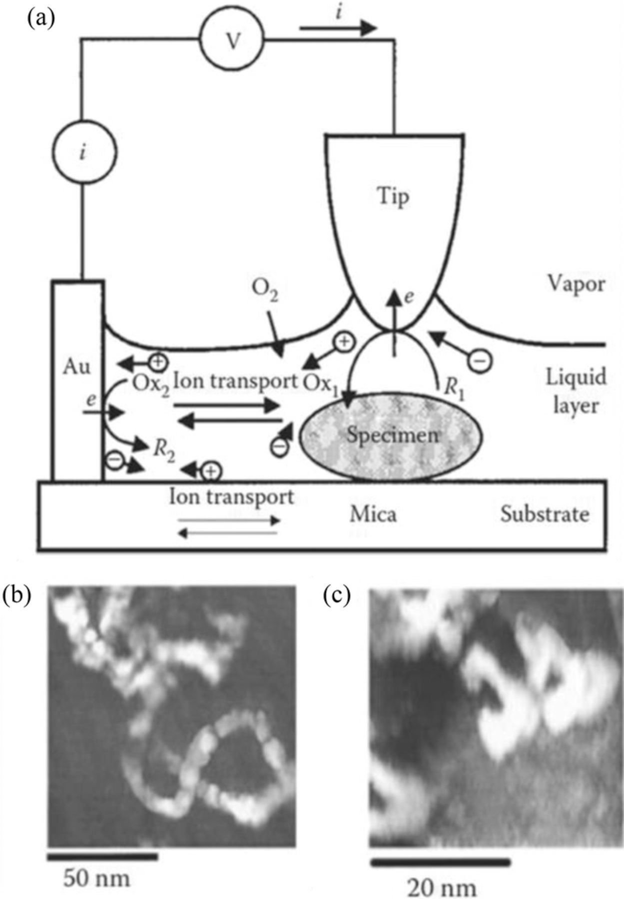 Review—Advances in Scanning Electrochemical Microscopy (SECM) - IOPscience