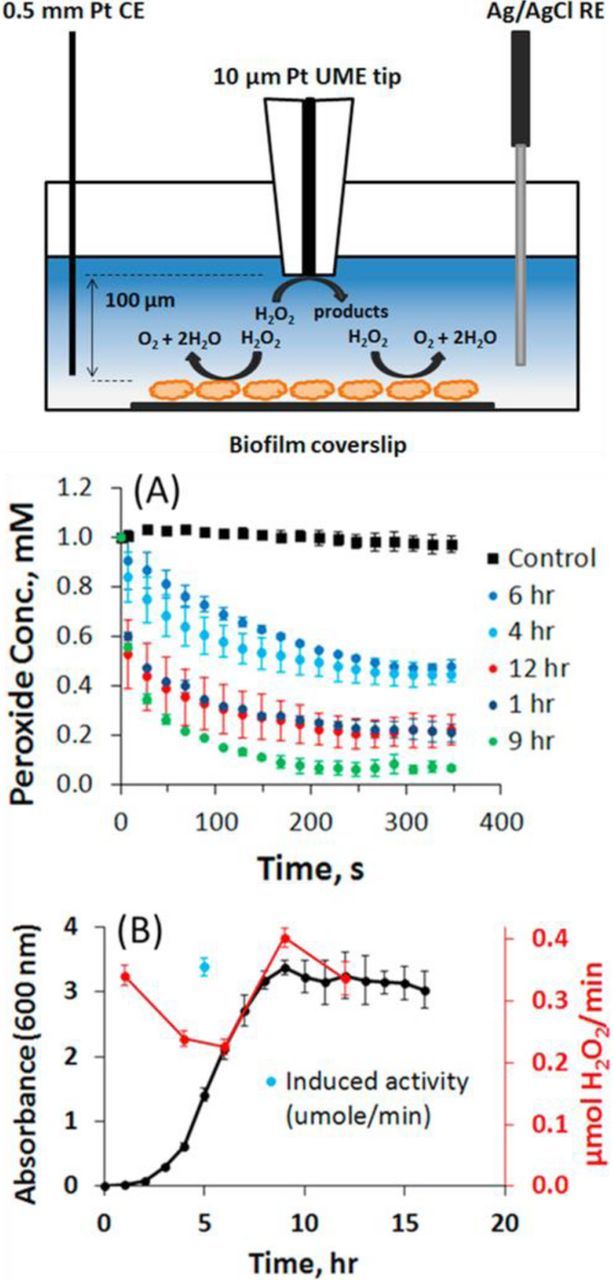 Review—Advances in Scanning Electrochemical Microscopy (SECM) - IOPscience