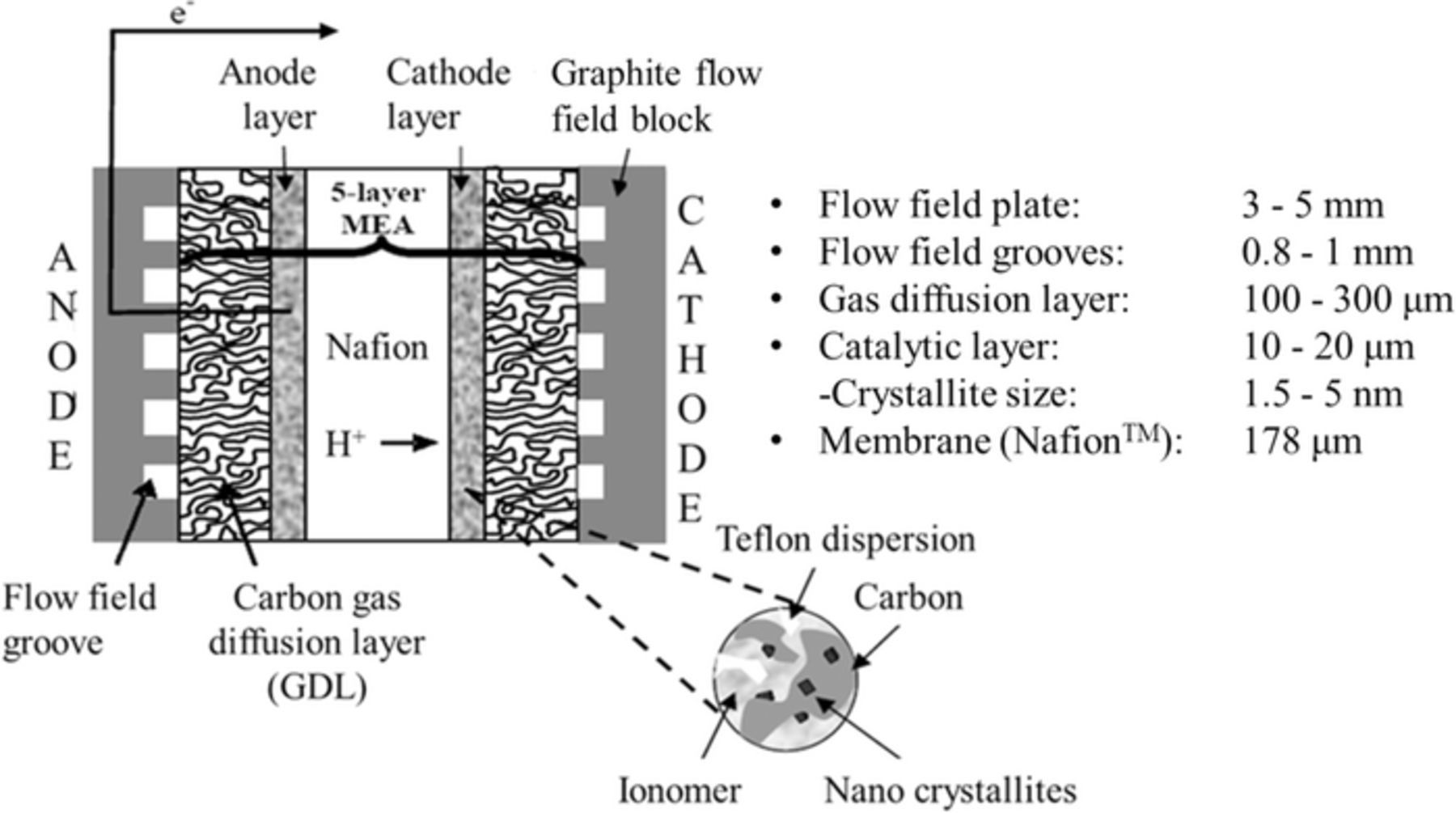 Operando Raman Micro-Spectroscopy of Polymer Electrolyte Fuel Cells ...