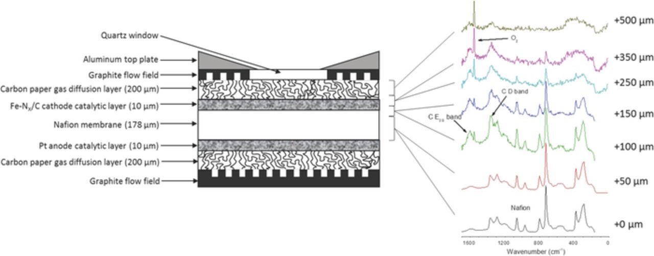 Operando Raman Micro-Spectroscopy of Polymer Electrolyte Fuel Cells ...