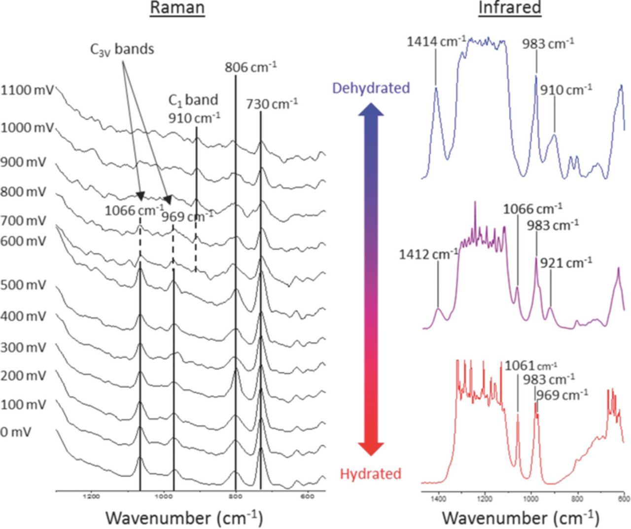 Operando Raman Micro-Spectroscopy of Polymer Electrolyte Fuel Cells ...