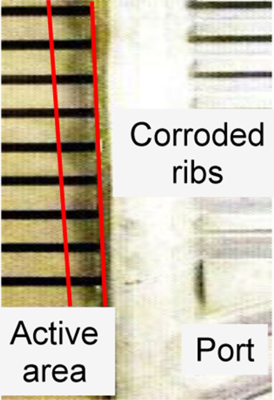 The Relationship between Shunt Currents and Edge Corrosion in Flow ...