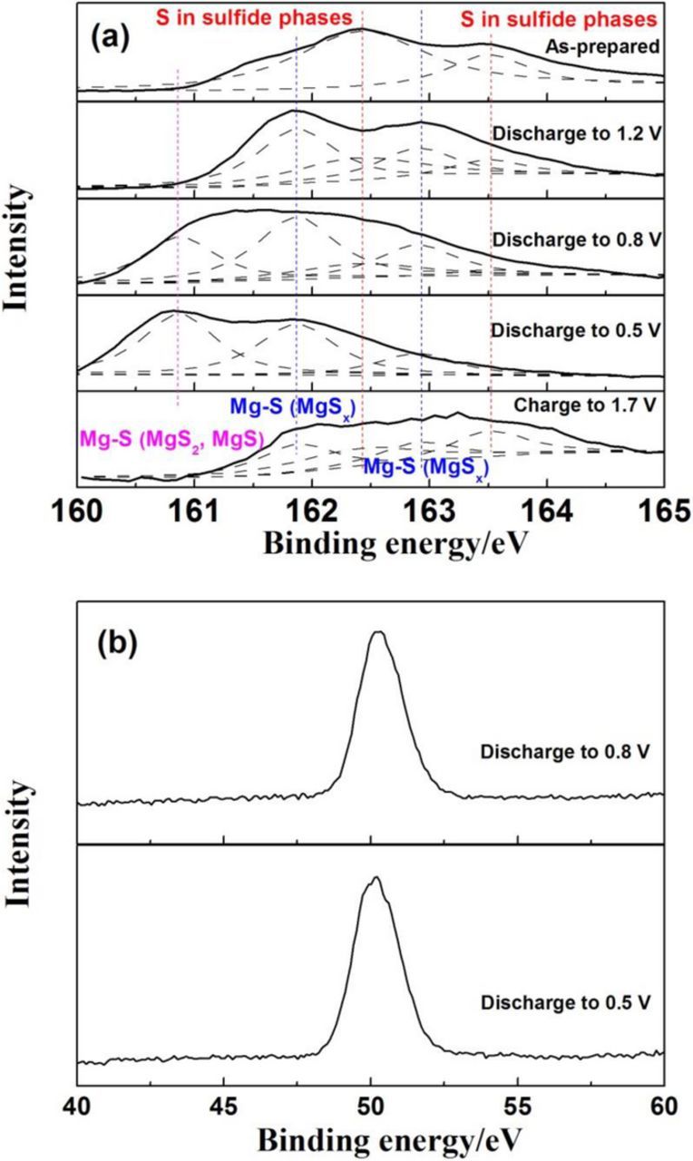 Application of a Sulfur Cathode in Nucleophilic Electrolytes for ...