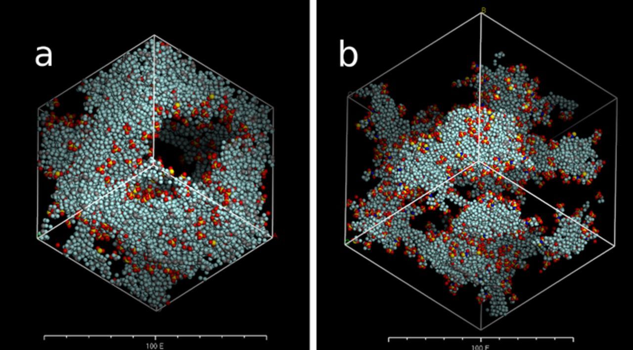 Molecular Dynamic Study of Water-Cluster Structure in PFSA and PFIA ...