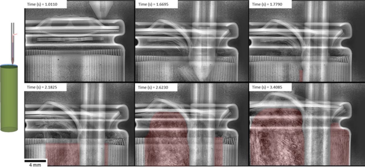 Tracking Internal Temperature and Structural Dynamics during Nail ...