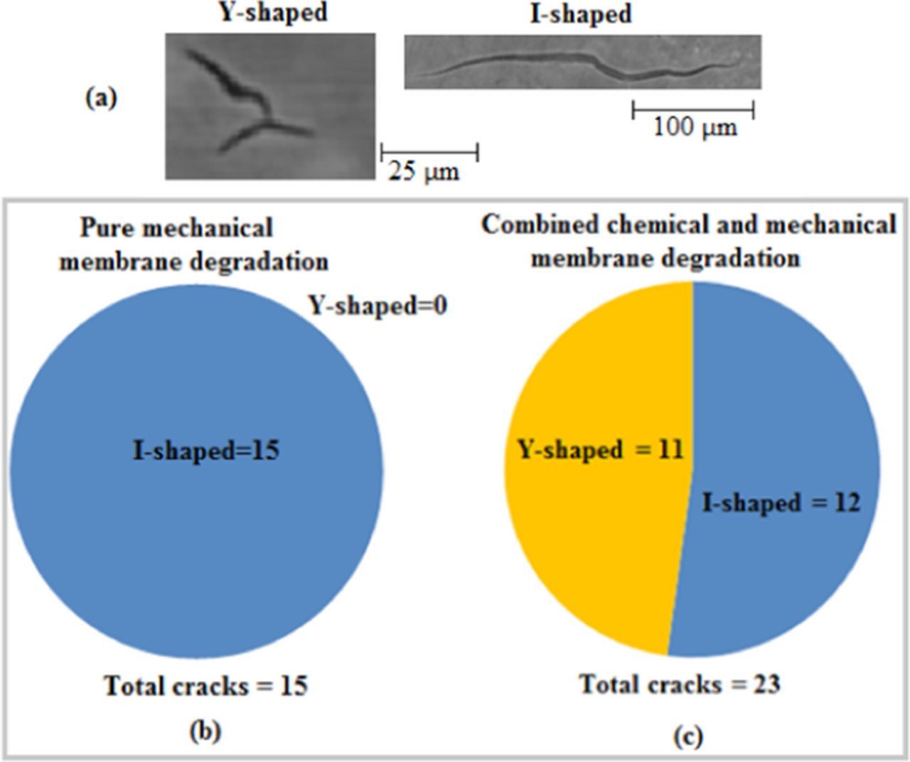 3D Failure Analysis of Pure Mechanical and Pure Chemical Degradation in ...