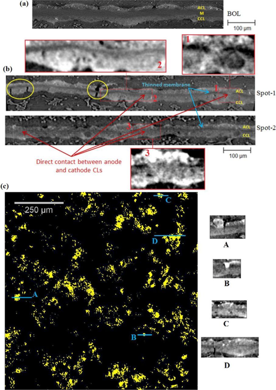 3D Failure Analysis of Pure Mechanical and Pure Chemical Degradation in ...