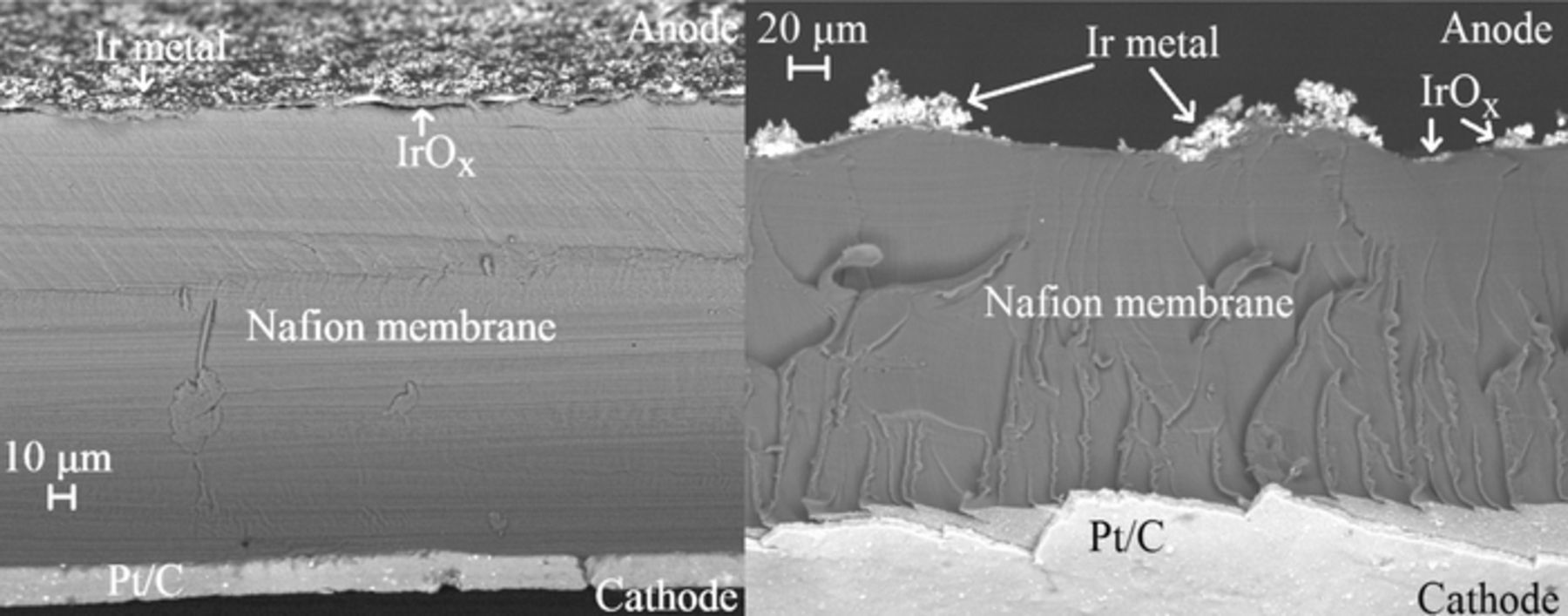 Electrochemical Characterization of a PEMEC Using Impedance ...