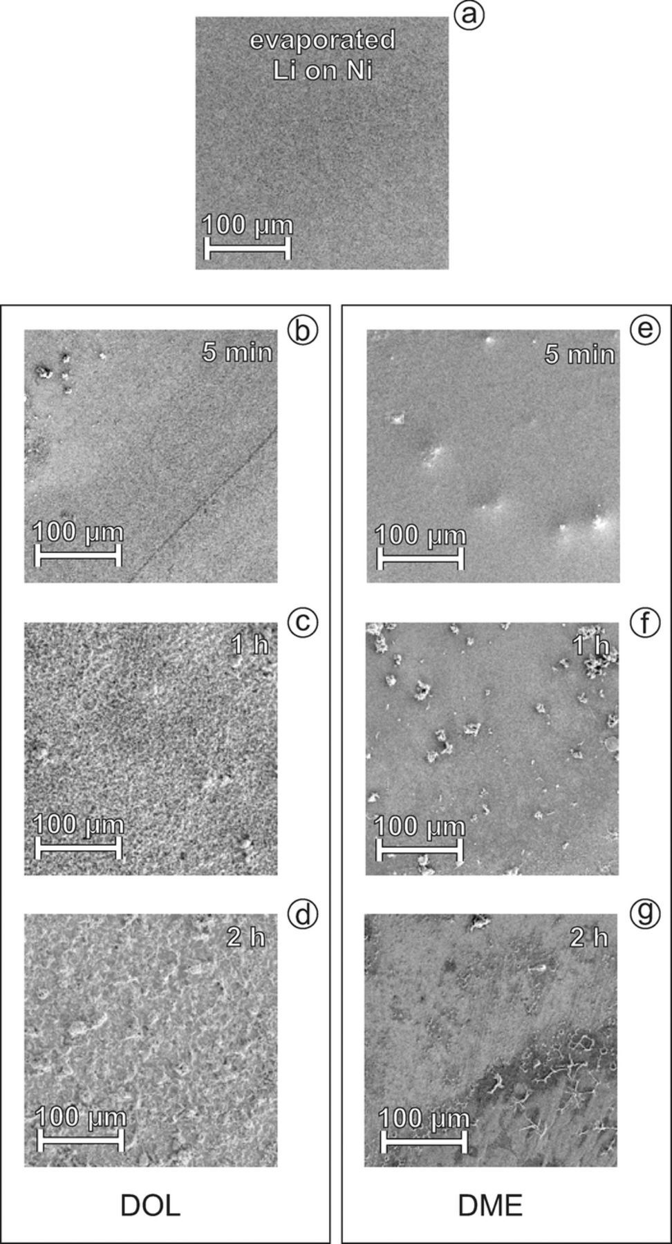 XPS and SIMS Analysis of Solid Electrolyte Interphases on Lithium ...