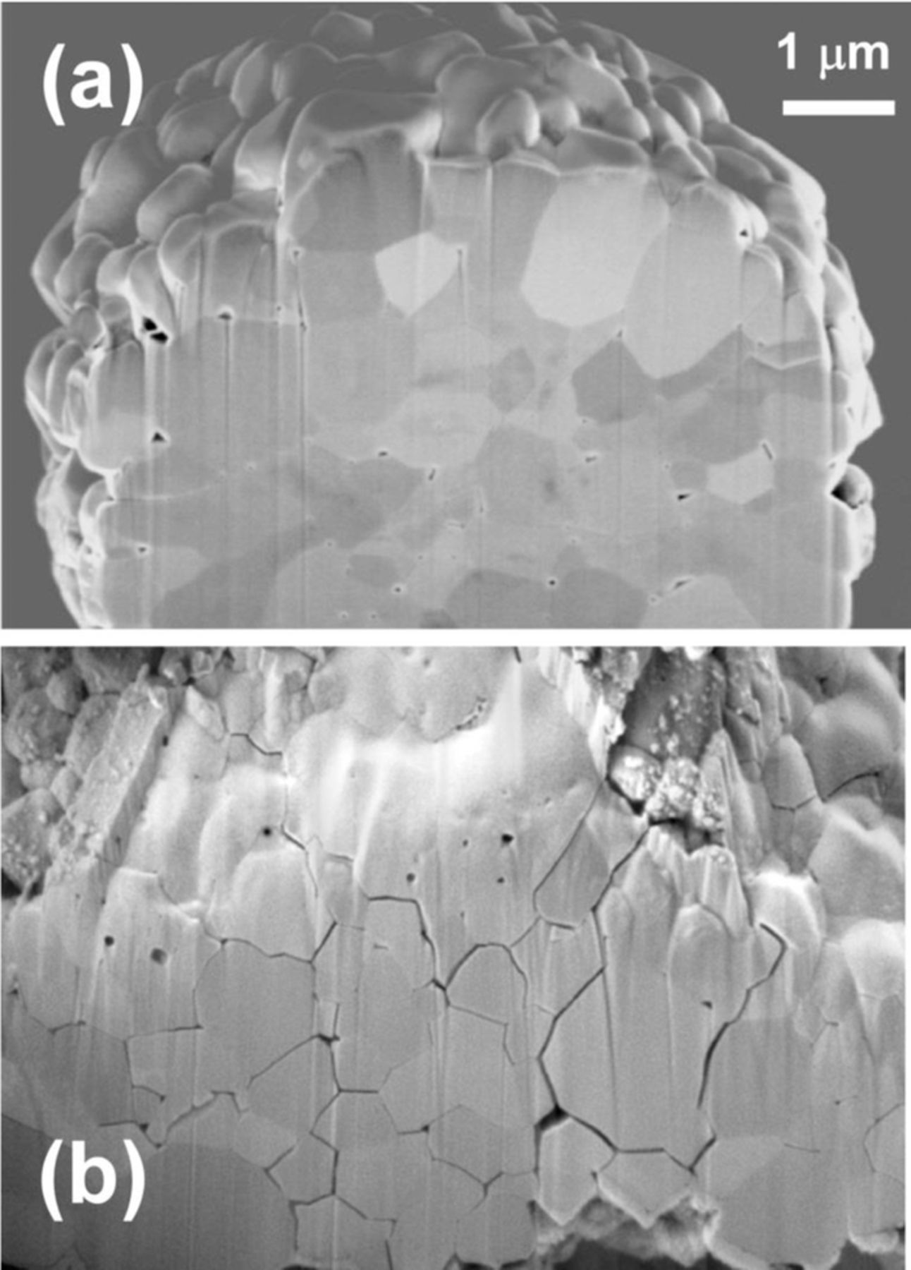 Transition Metal Dissolution, Ion Migration, Electrocatalytic Reduction ...