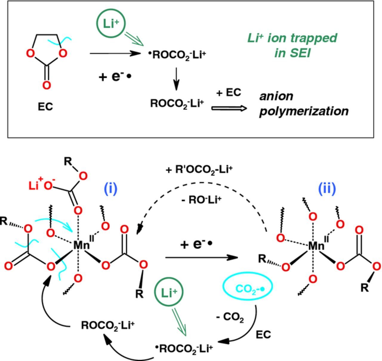Transition Metal Dissolution, Ion Migration, Electrocatalytic Reduction ...