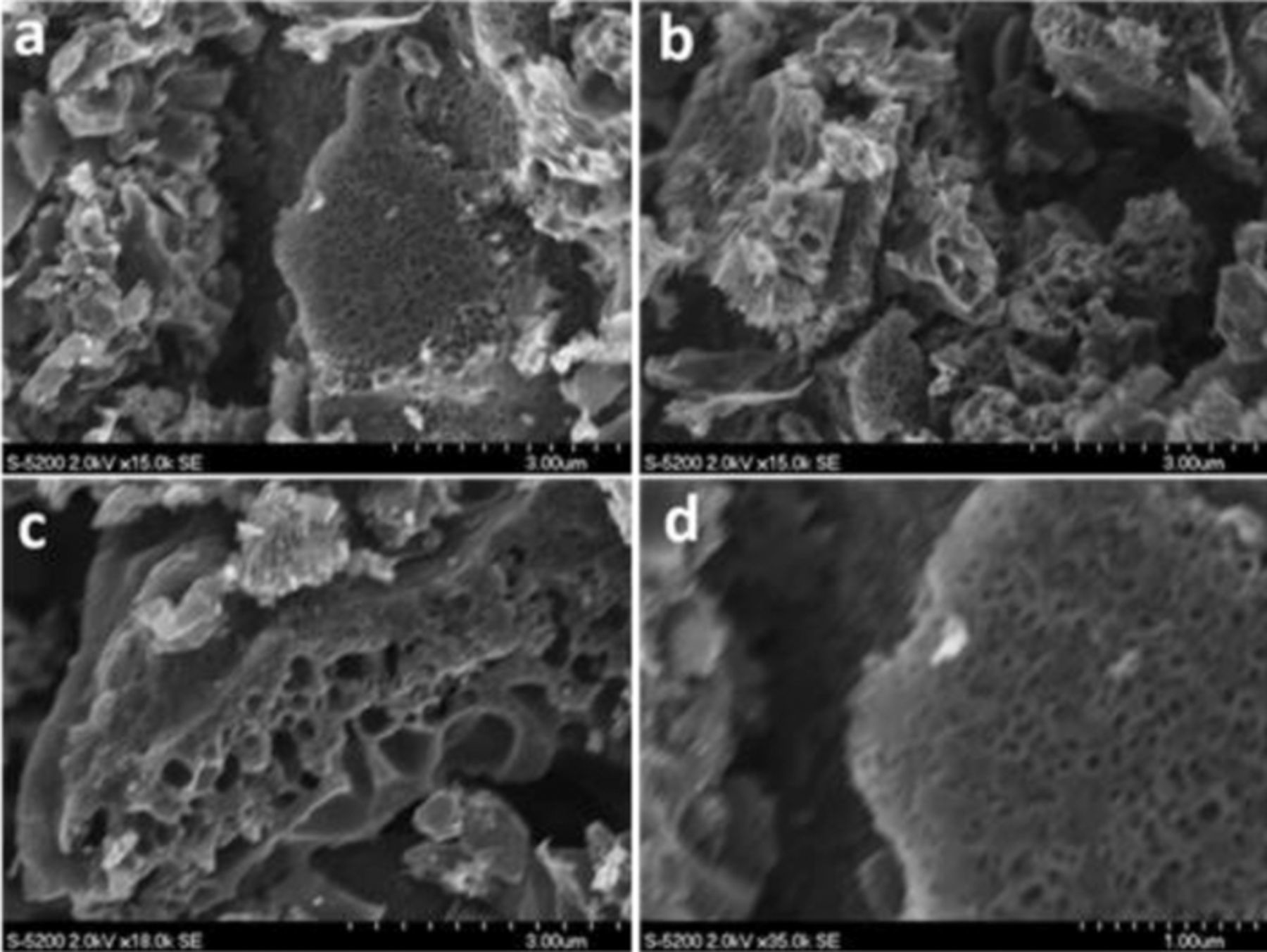 High Performance Platinum Group Metal-Free Cathode Catalysts for ...