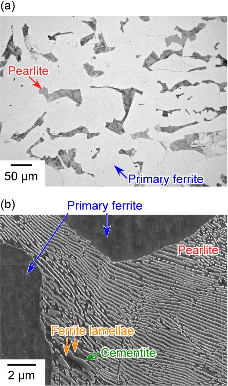Real-Time Microelectrochemical Observations of Very Early Stage Pitting ...