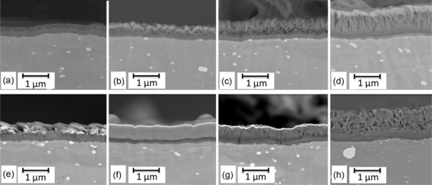 Electrochemical Evaluation of Corrosion Inhibiting Layers Formed in a ...
