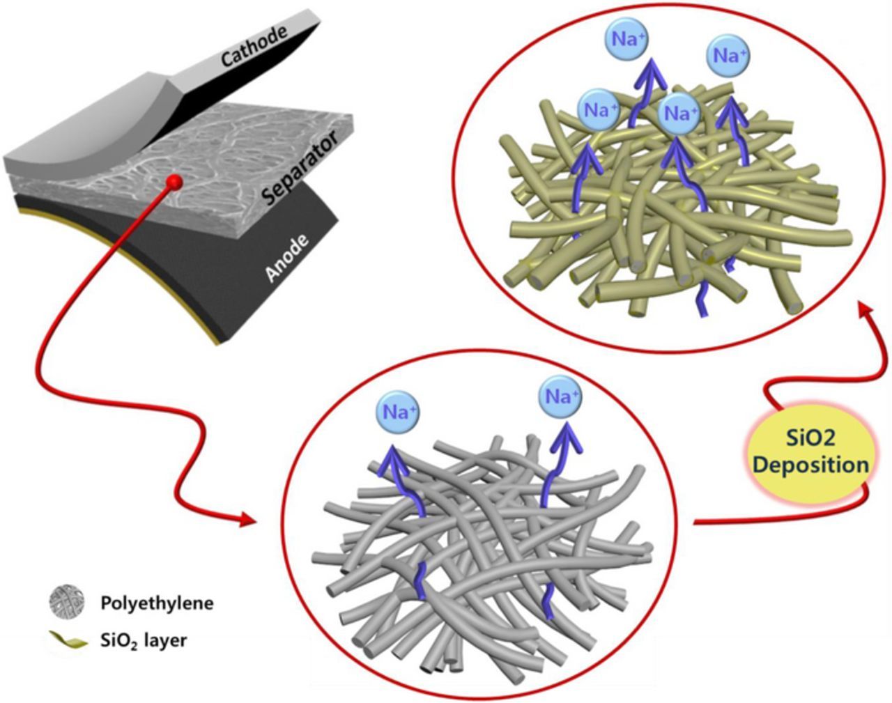 Tailored Metal Oxide Thin Film on Polyethylene Separators for Sodium ...