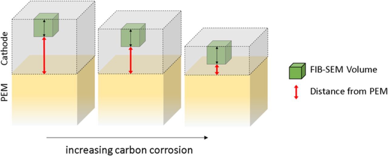 FIB-SEM Tomography Connects Microstructure to Corrosion-Induced ...