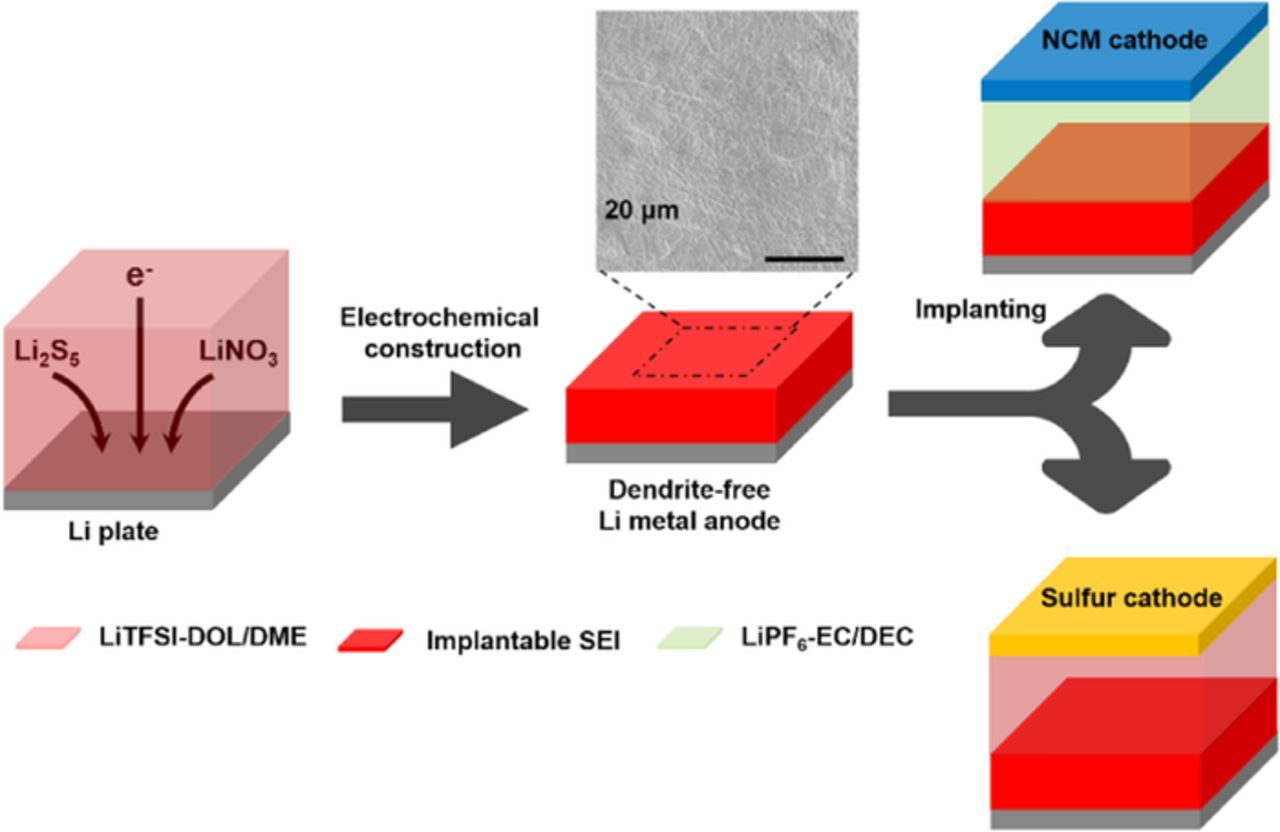 Review—Li Metal Anode in Working Lithium-Sulfur Batteries - IOPscience