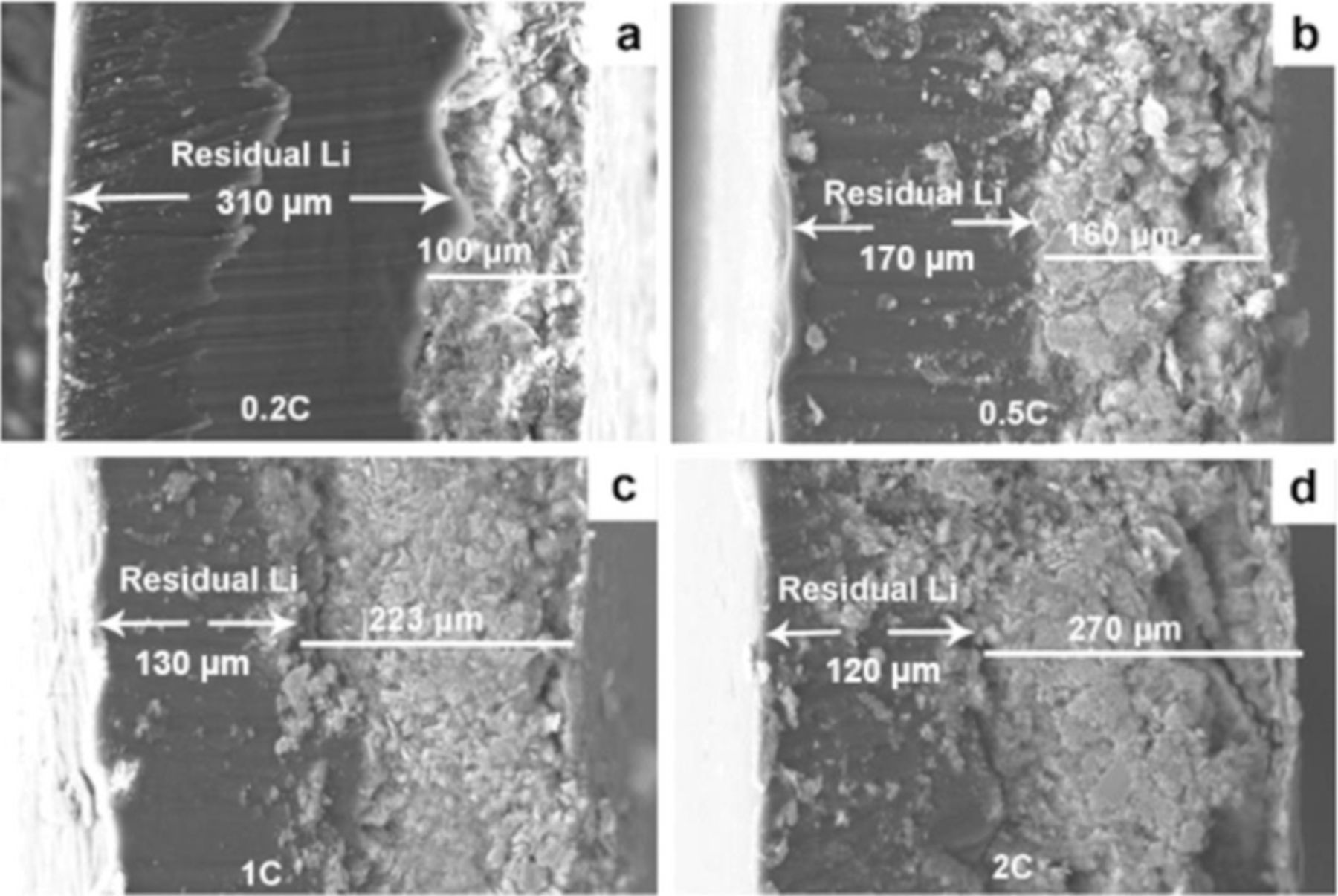 Review—Li Metal Anode in Working Lithium-Sulfur Batteries - IOPscience