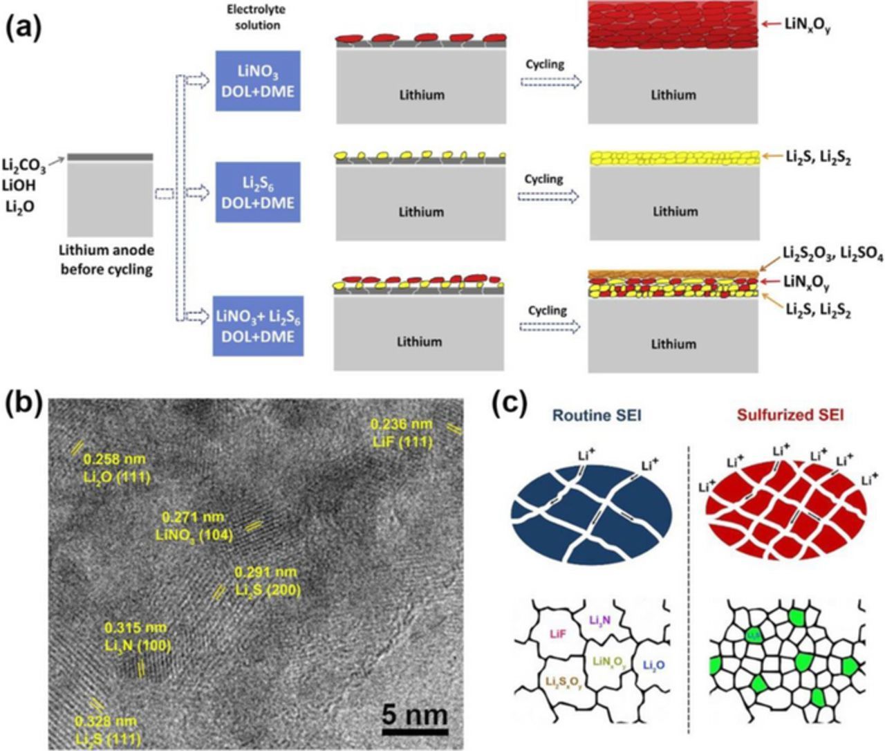 Review—Li Metal Anode in Working Lithium-Sulfur Batteries - IOPscience