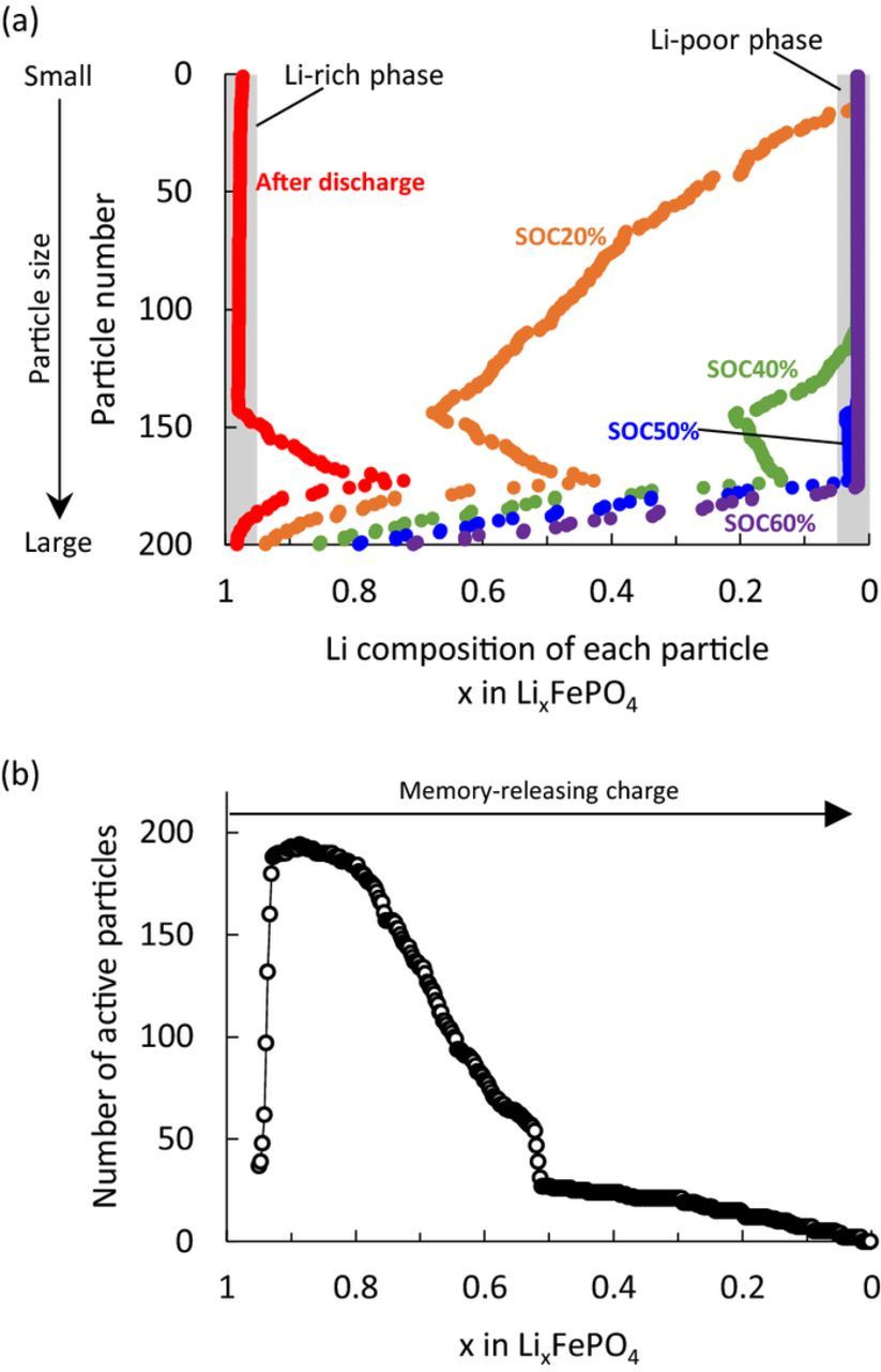 Comprehensive Study of the Polarization Behavior of LiFePO4 Electrodes ...
