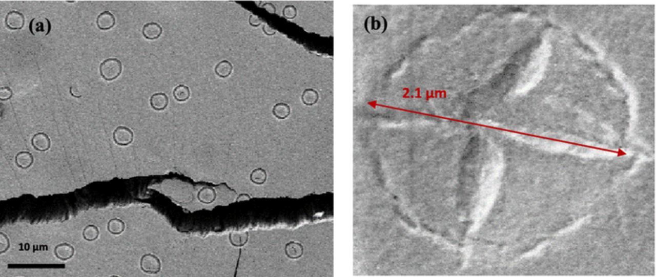 Structure and Formation of Trivalent Chromium Conversion Coatings ...
