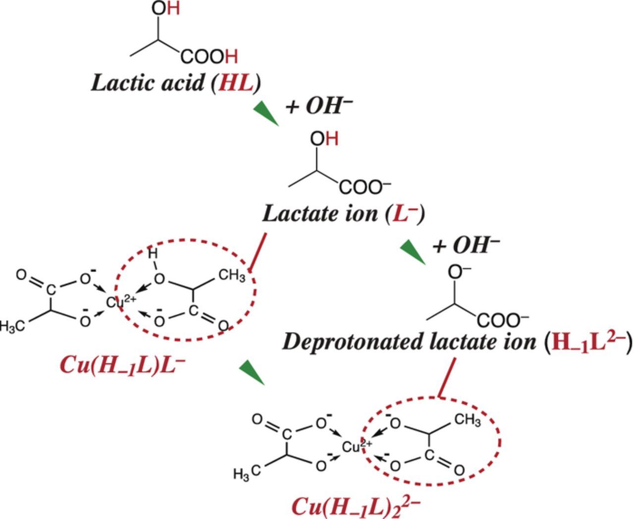 Identification of Copper(II)–Lactate Complexes in Cu2O ...