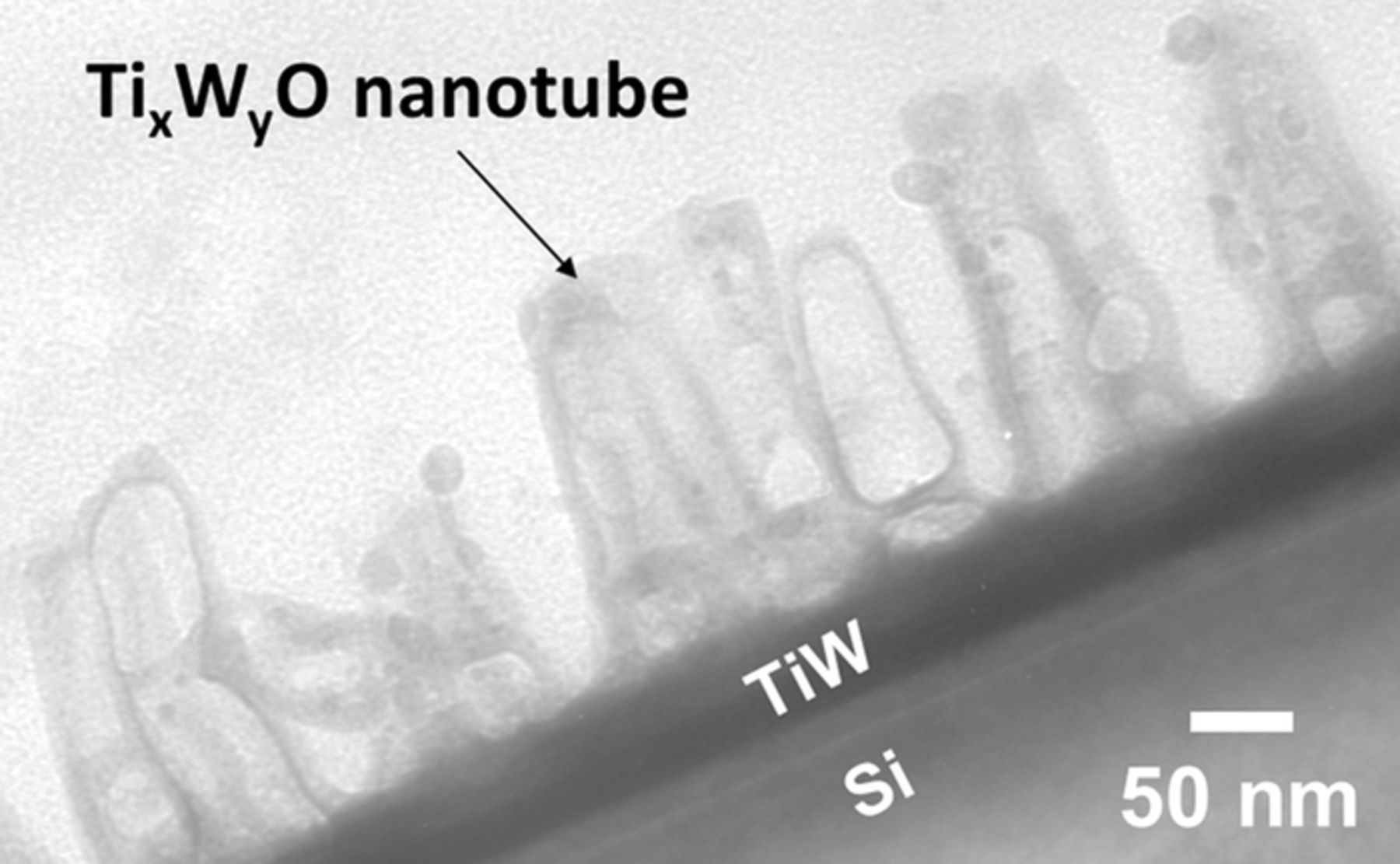 Growth Mechanism of Self-Assembled TixWyO Nanotubes Fabricated by TiW ...