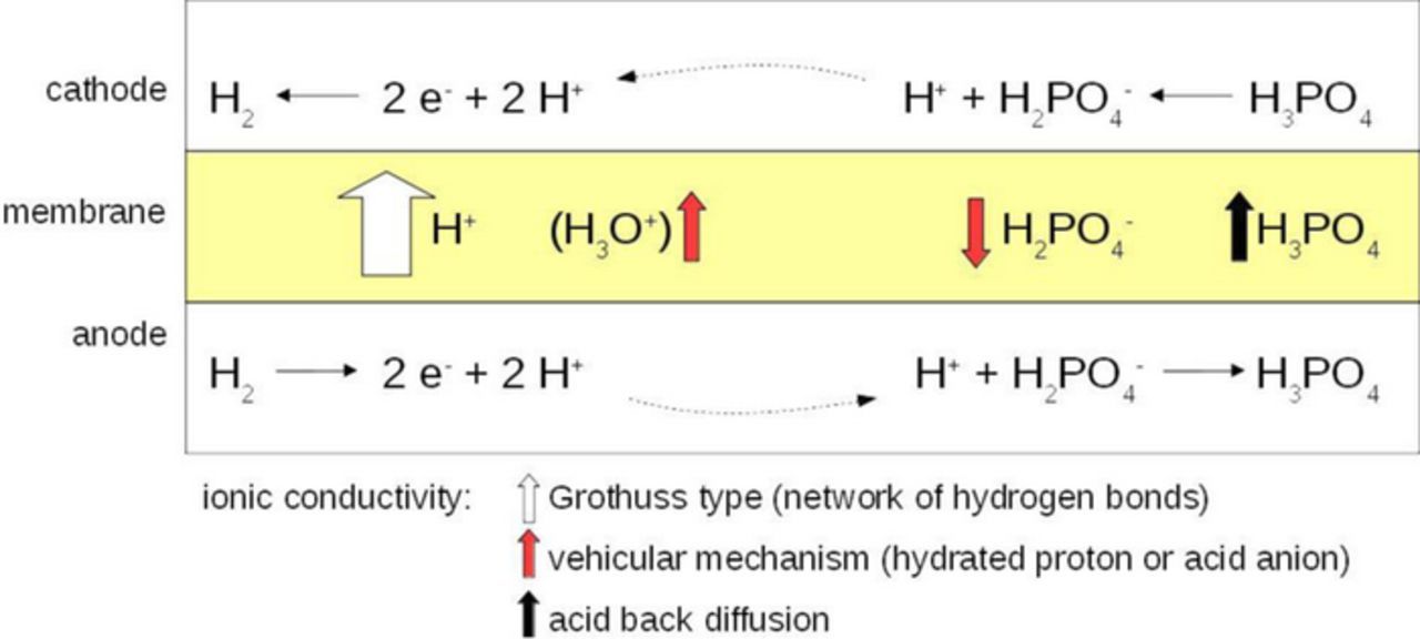 Determination of Anion Transference Number and Phosphoric Acid ...