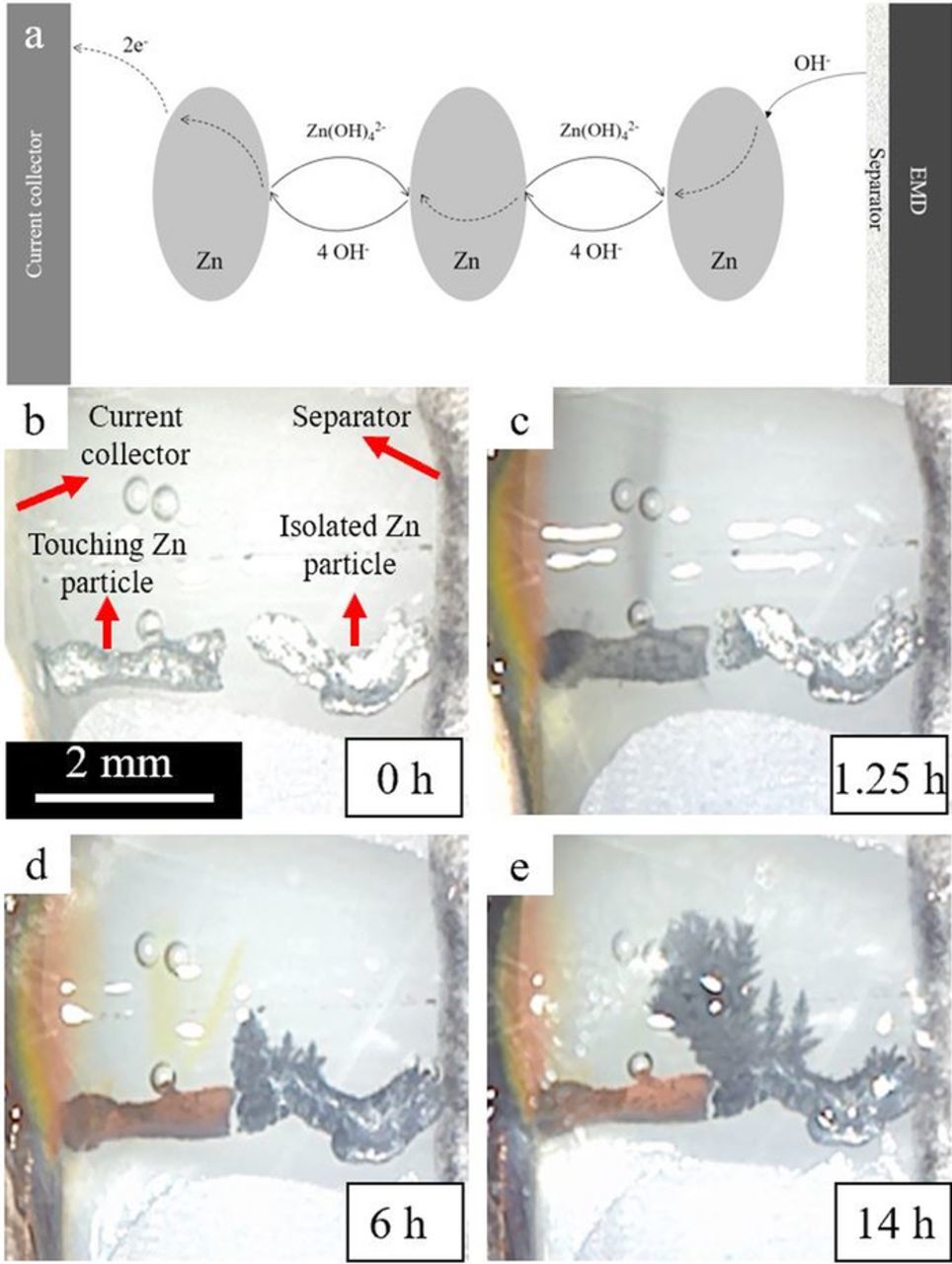 Understanding the Dynamics of Primary Zn-MnO2 Alkaline Battery Gassing ...