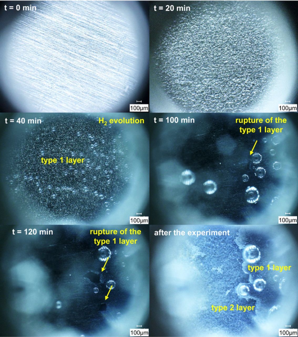 Passivation of Zinc Anodes in Alkaline Electrolyte: Part I ...