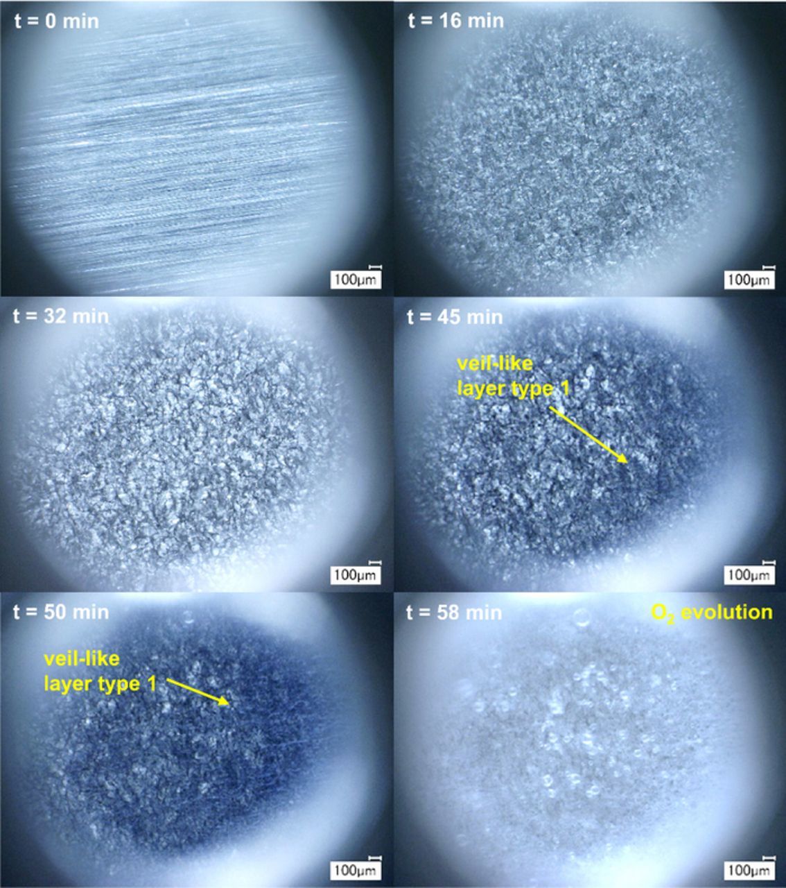 Passivation of Zinc Anodes in Alkaline Electrolyte: Part I ...