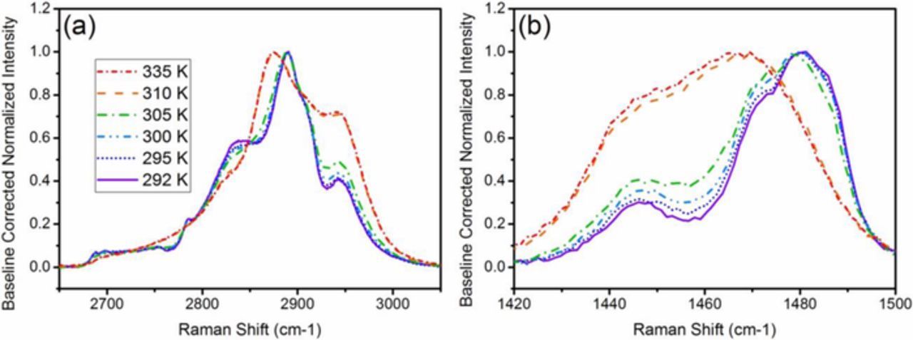 Raman and QCM Studies of PPG and PEG Adsorption on Cu Electrode ...