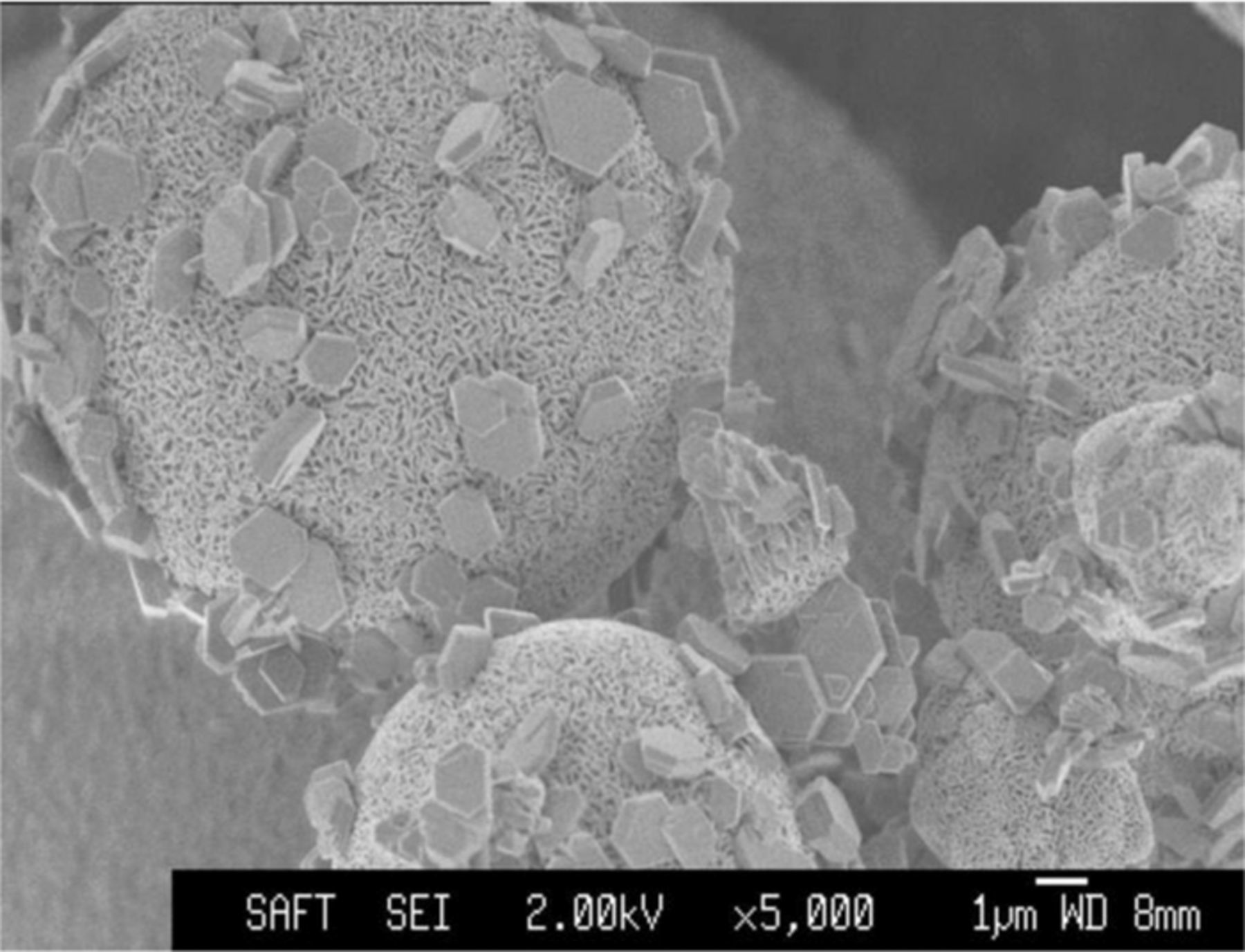 Understanding of Ni(OH)2 / NiOOH Irreversible Phase Transformations ...