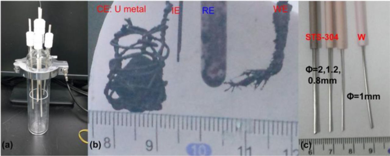 Uranium Dendritic Morphology in the Electrorefining: Influences of ...
