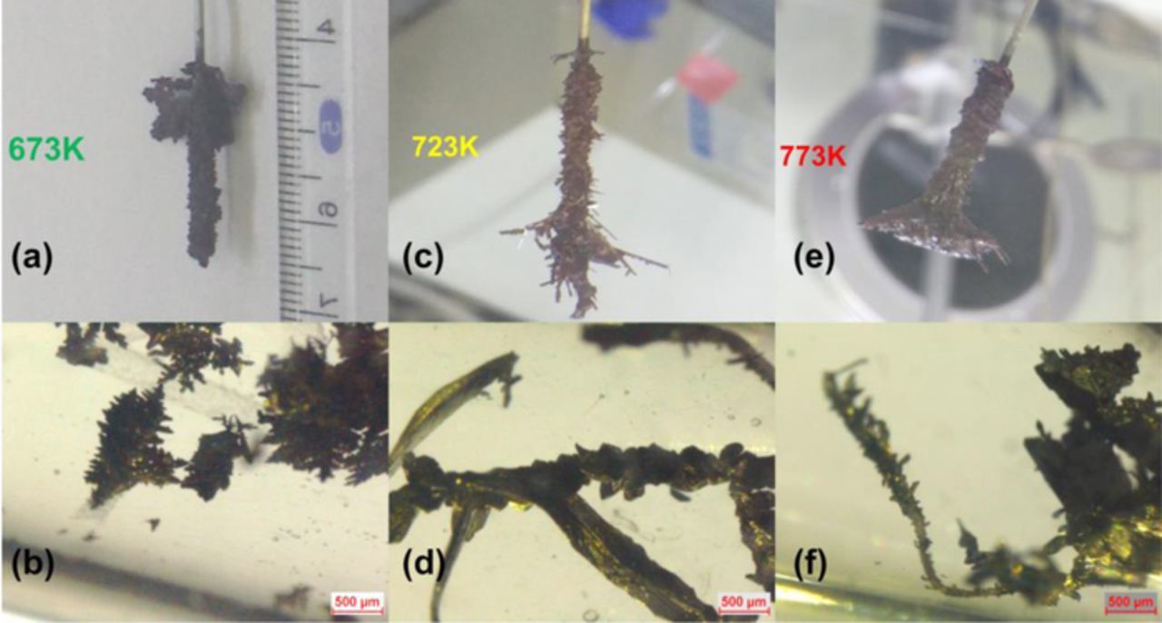Uranium Dendritic Morphology in the Electrorefining: Influences of ...