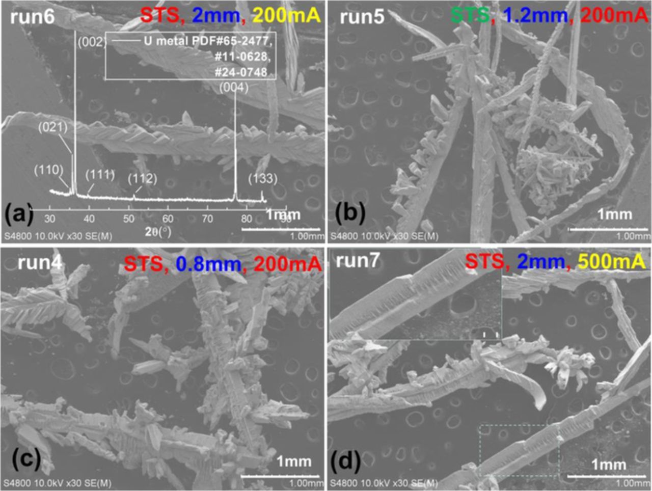 Uranium Dendritic Morphology in the Electrorefining: Influences of ...