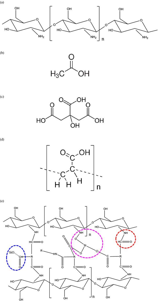 Crosslinked Chitosan Networks as Binders for Silicon/Graphite Composite ...