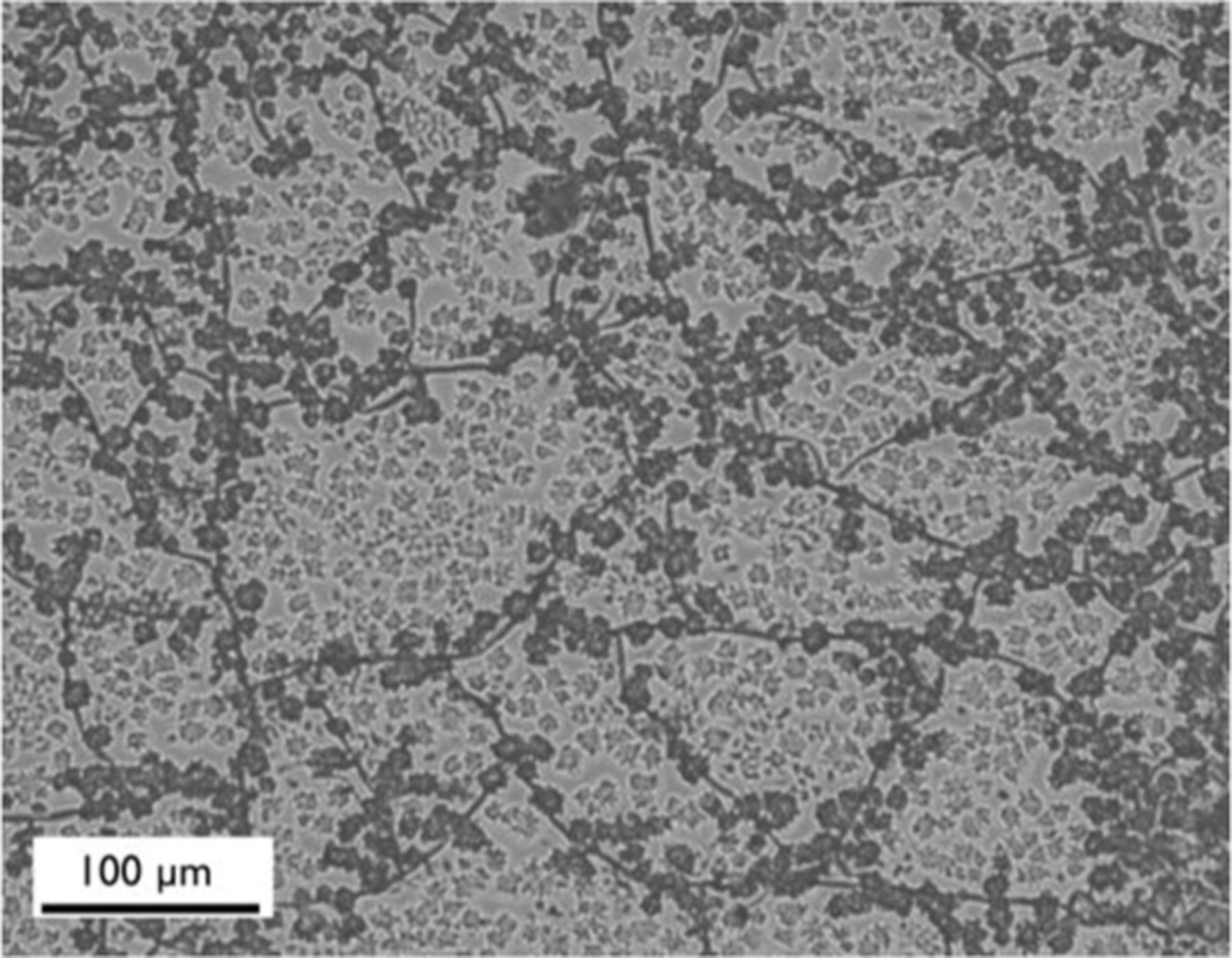 Application of Cross-Linked Polyborosiloxanes and Organically Modified ...
