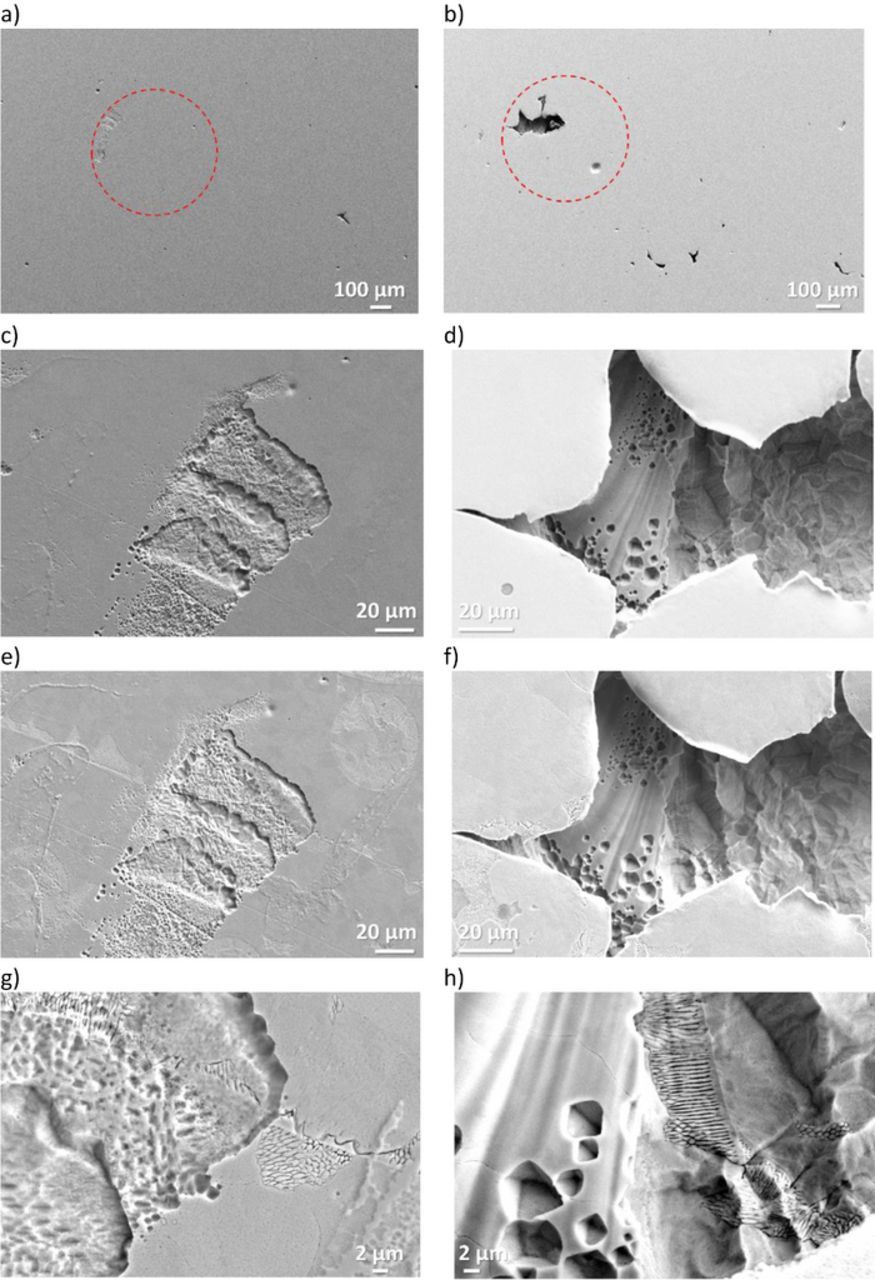 The Role of Microstructure and Surface Finish on the Corrosion of ...