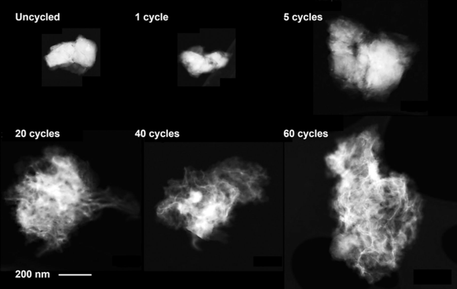 Morphological Changes of Silicon Nanoparticles and the Influence of ...